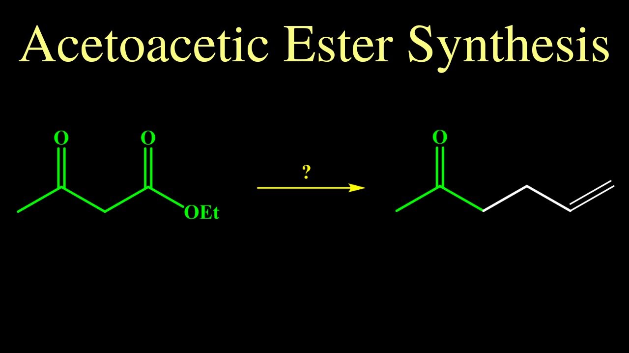 Acetoacetic Ester Synthesis - YouTube