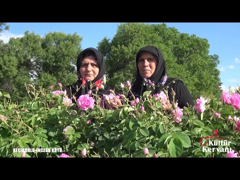 Köy Muhtarının Eşi Hatice Abla Neden Küçük Yaşta Evlenmiş.