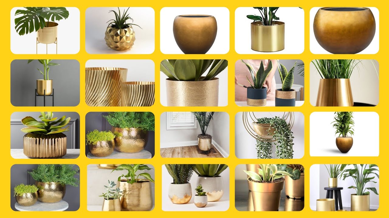 50 golden metal small pots plants// simple gold terracotta plants//# ...