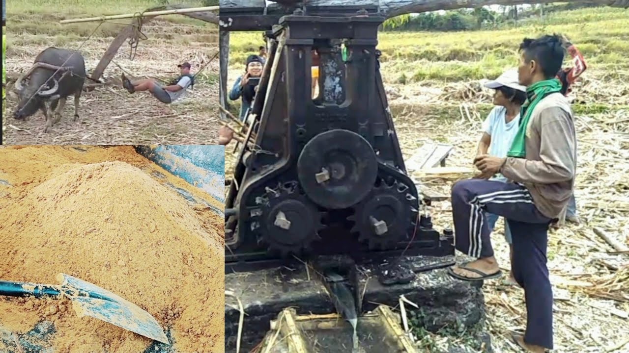 Traditional way of making muscovado sugar - YouTube