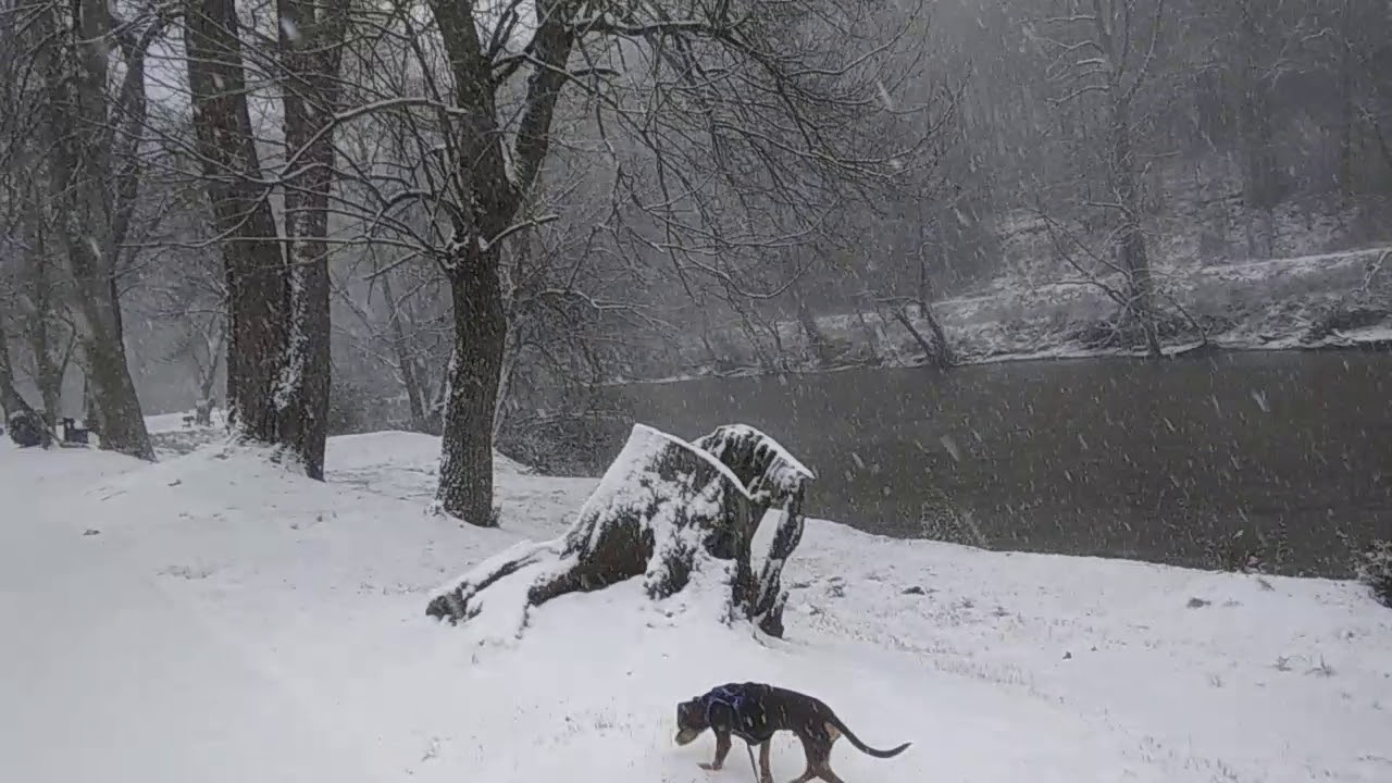 Murphy, North Carolina. February 8 2020 Snow. Konahete Park. - YouTube