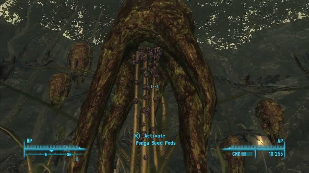 Fallout 3 (112) Point Lookout DLC: Punga Mind Trip - YouTube