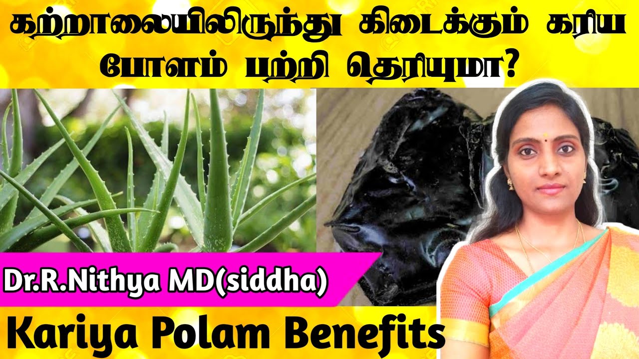 கற்றாலையிலிருந்து கிடைக்கும் கரிய போளம் பற்றி தெரியுமா? | kariya polam ...