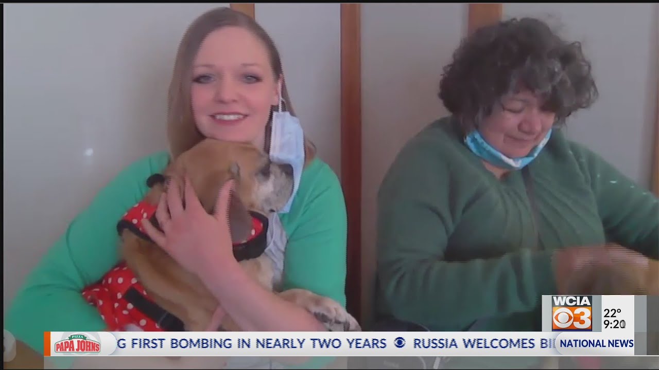 Pet Spotlight - YouTube