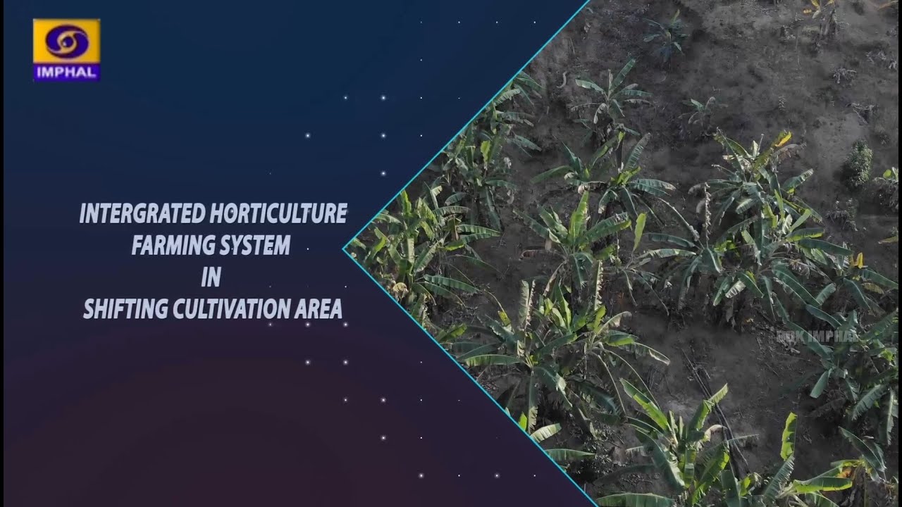 Agriculture Programme | Integrated Horticulture Farming System In ...