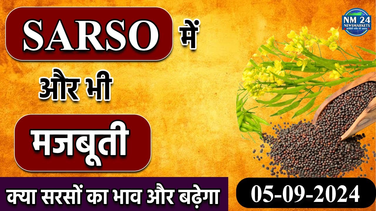 06 September 2024 Sarso Ka Rate || सरसो में और भी मजबूती || Sarso Rate ...