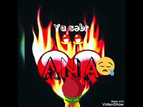 ANA UREYI SANKI HEZIN KULEKDI