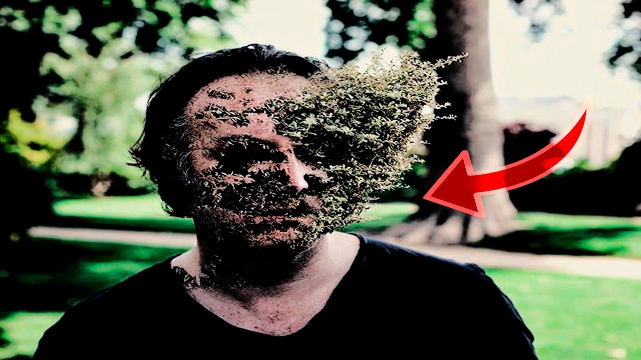 5 Personas con Súper Poderes Captados en Cámara y Vistos en la Vida ...