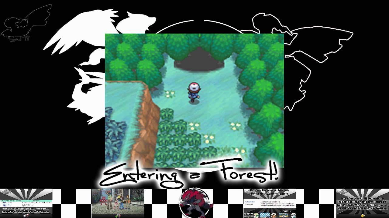 Pokemon Black and White: Bus Tour Demo & New Screenshots - YouTube