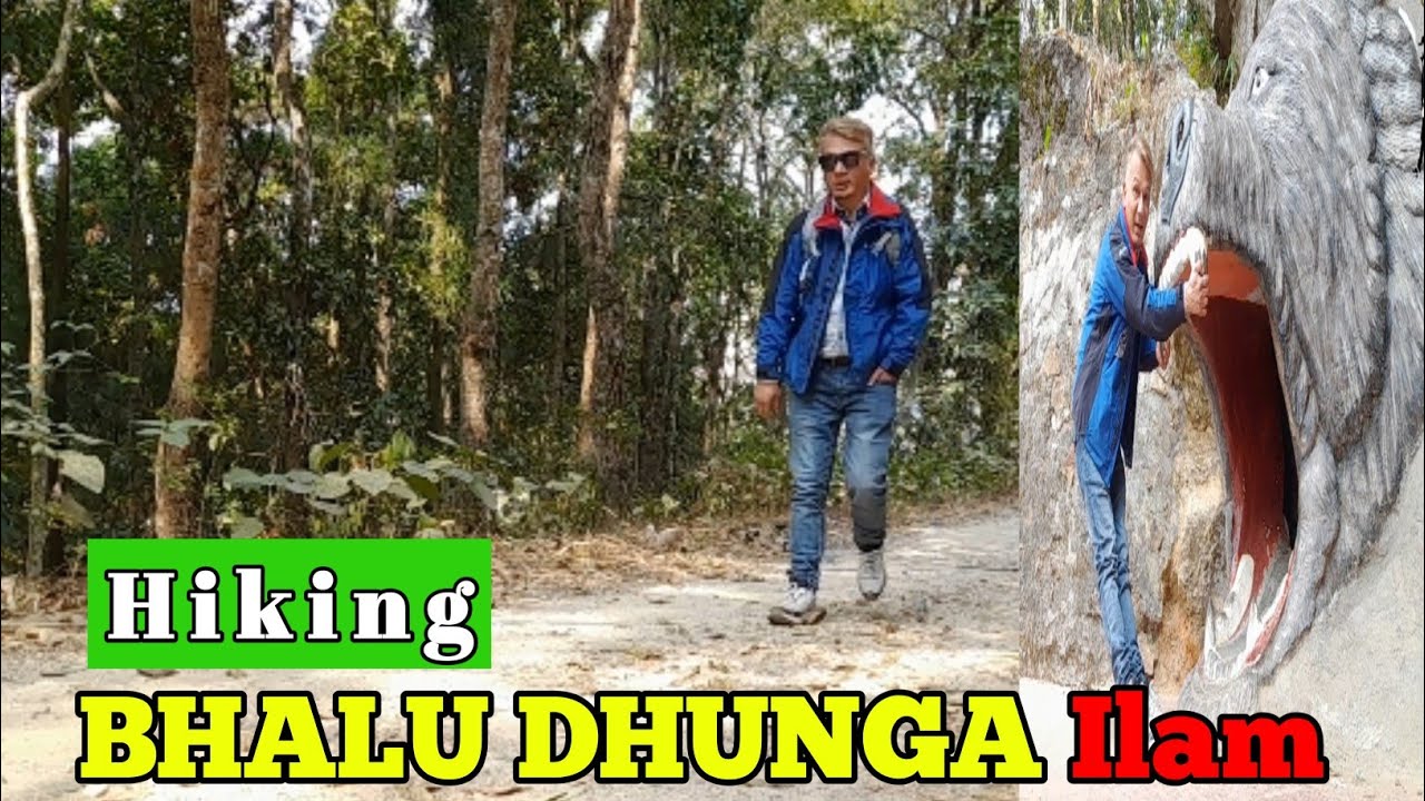 Bhalu Dhunga | Ilam | Trekking Way Solo Hiking - YouTube