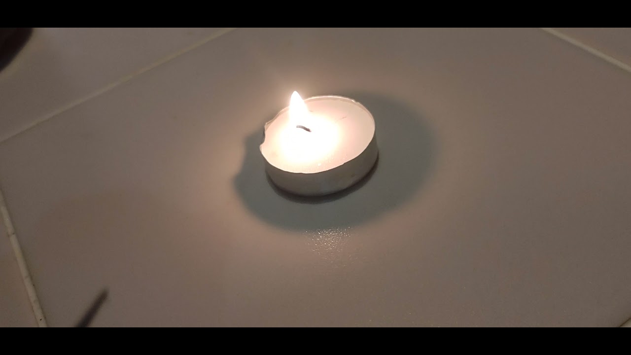 Burning a mosquito alive - YouTube