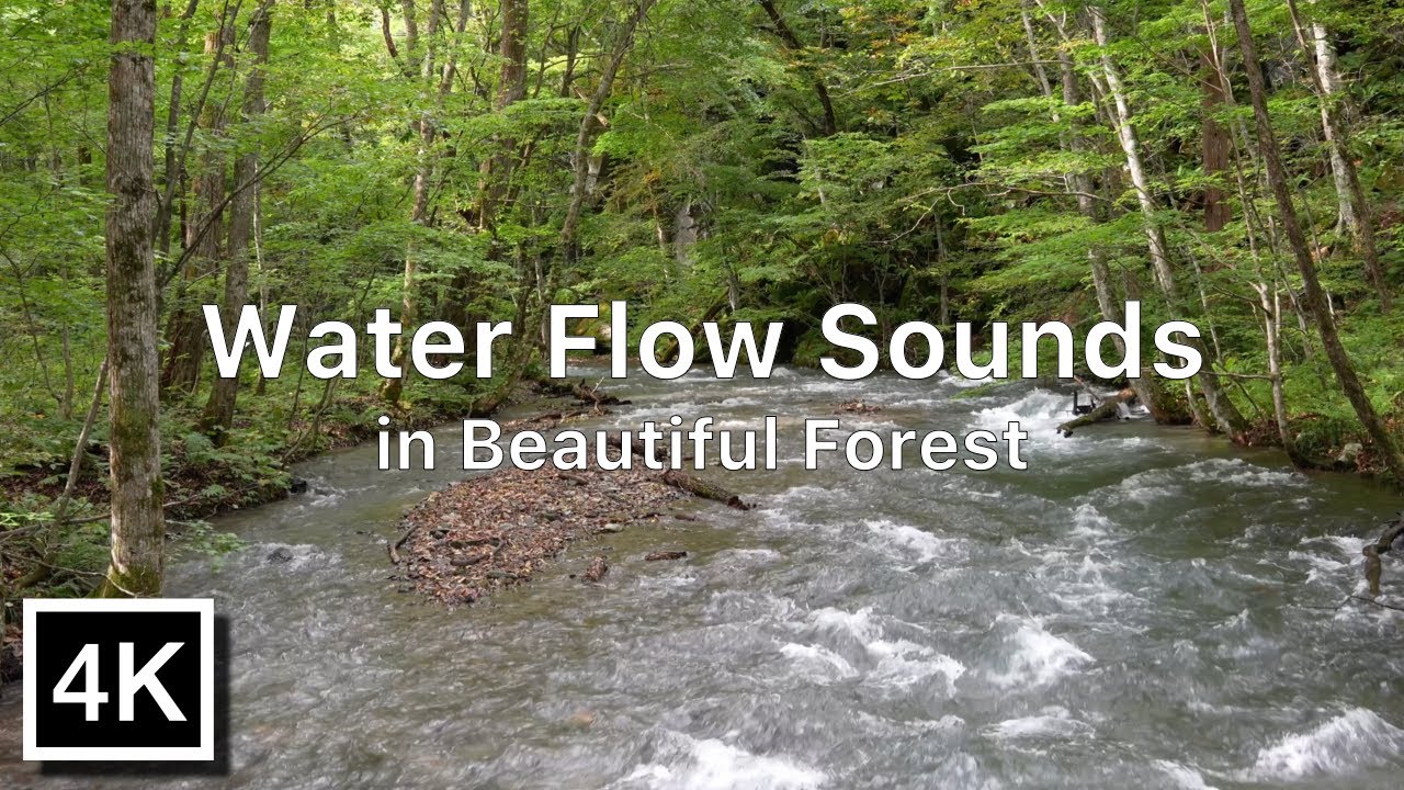 Water Flow Sounds in Beautiful Forest | Aomori Japan | ASMR | Nature ...