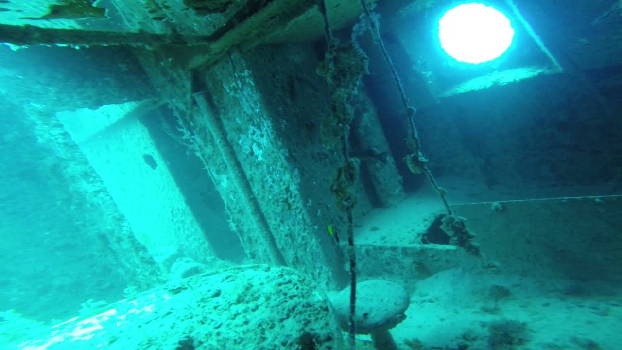 Wreck & Shark Dive Jupiter Florida - YouTube
