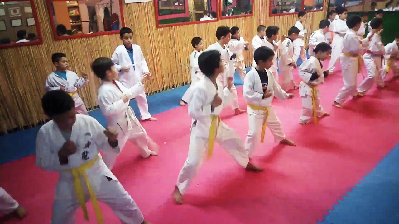 Les Déplacements en karaté do - YouTube