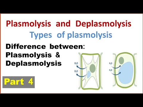 Plasmolysis and deplasmolysis | Types of plasmolysis | Difference ...
