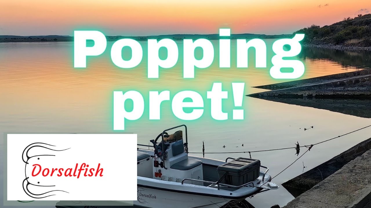 Popping pret! (Barbel/Baber) - YouTube
