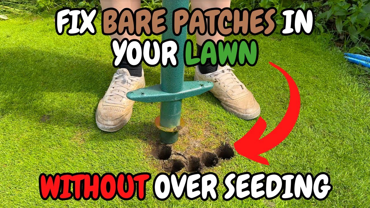 How to FIX any PATCH in your LAWN without over seeding! - YouTube