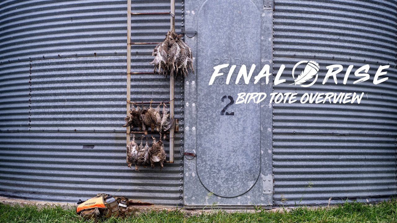 Final Rise Bird Tote Overview - YouTube