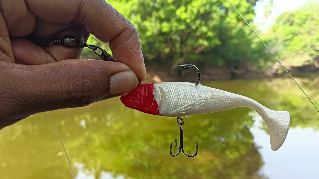 Snakehead hunting with lure || Snakehead hunting || Amazing Snakehead ...