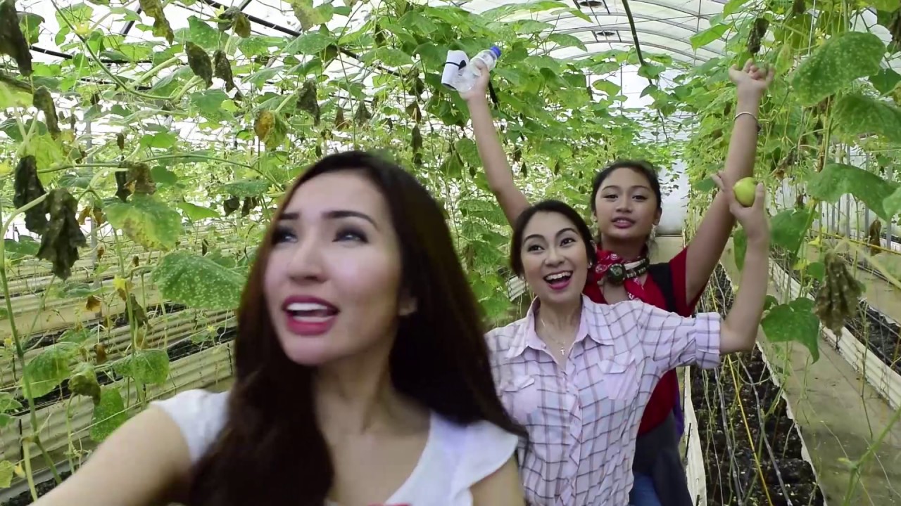 Dioko Resort and Ecotourism Park - YouTube