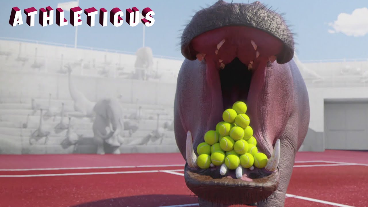 Match suspended Athleticus | Sport animals | Cartoon in English - YouTube