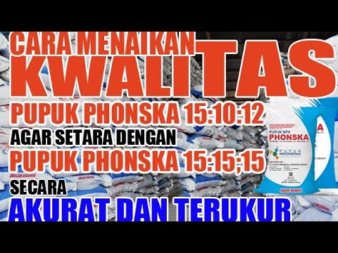 CARA MENINGKATKAN KUALITAS PUPUK PHONSKA SUBSIDI 15 10 12 ...