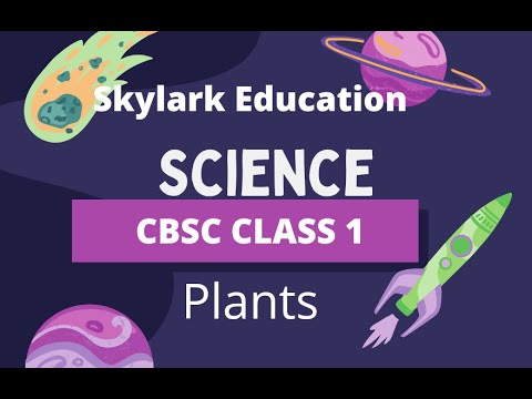 PLANTS I CBSC SCIENCE CLASS 1 PLANTS I CBSC SCIENCE SYLLABUS I NCERT I ...