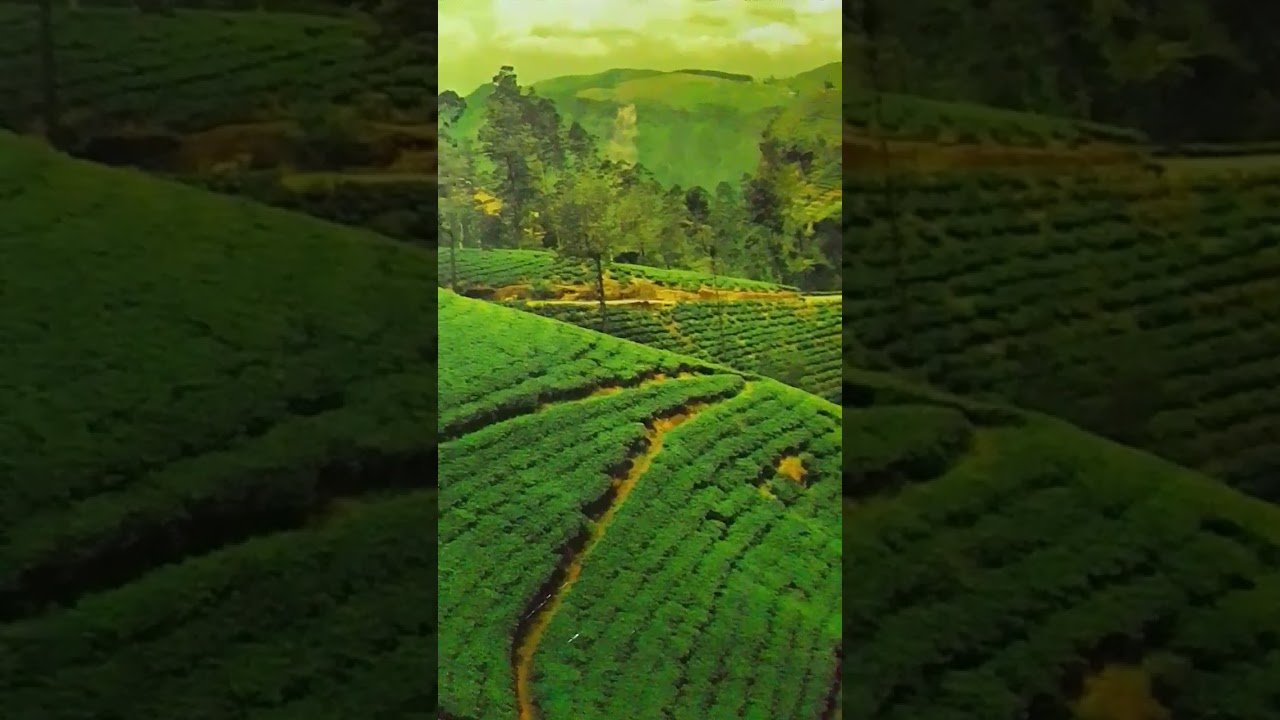 Bagania song #SHORT#SHORT VIDEO // - YouTube