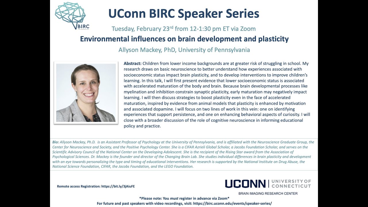 Environmental influences on brain development and plasticity, Allyson ...