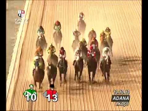 BURSIBUR- 1500 KUM 14 HANDİKAP ADANA