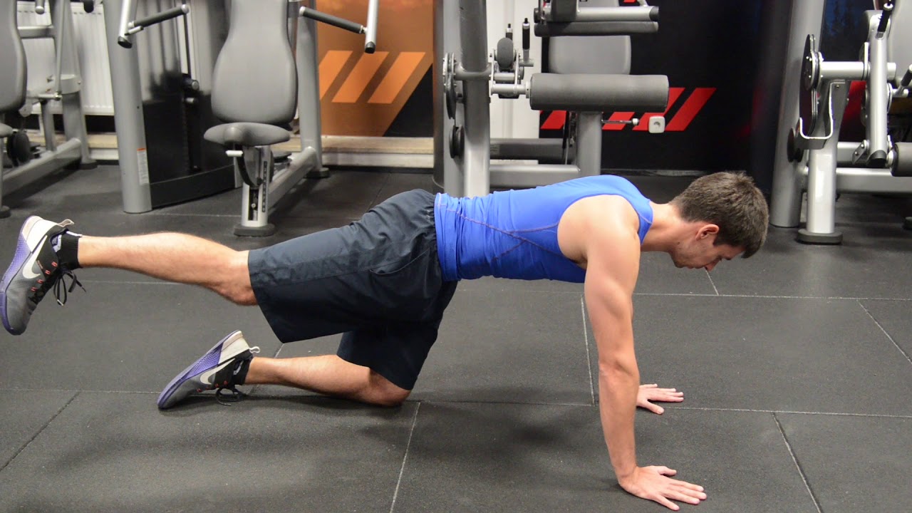 Hyperswing.com - Quadruped With Back Kick - YouTube