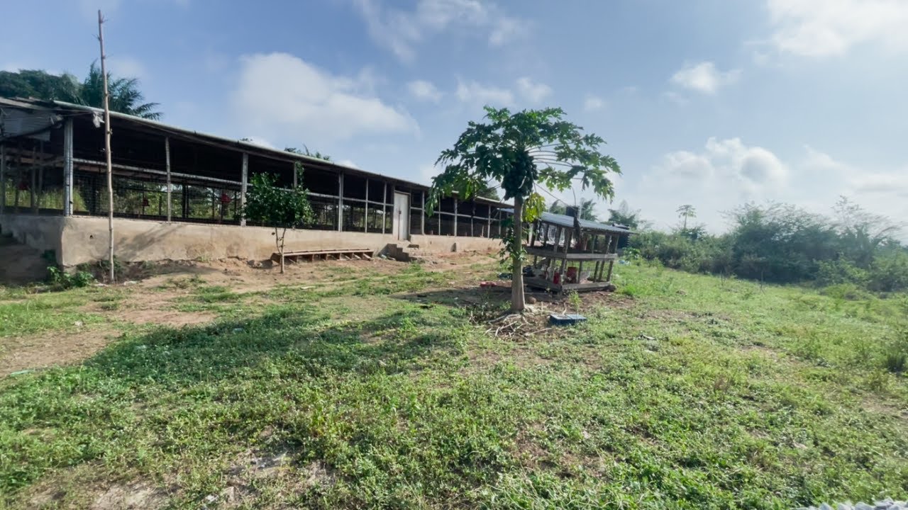 "Starting a Commercial Farm: Essential Assets You Need to Know (Part 1 ...