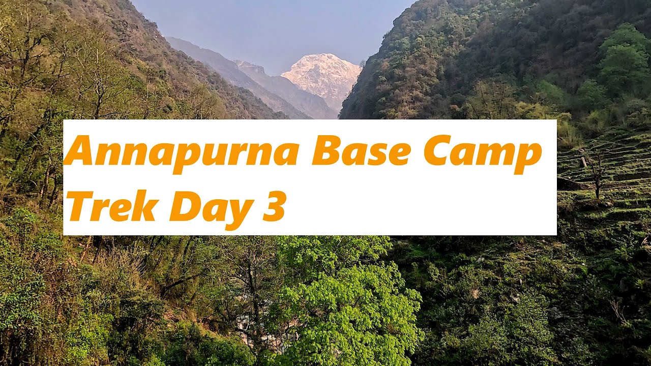 ABC trek | Day 3 | Chomrong to Bamboo village | 9th April 2024 - YouTube