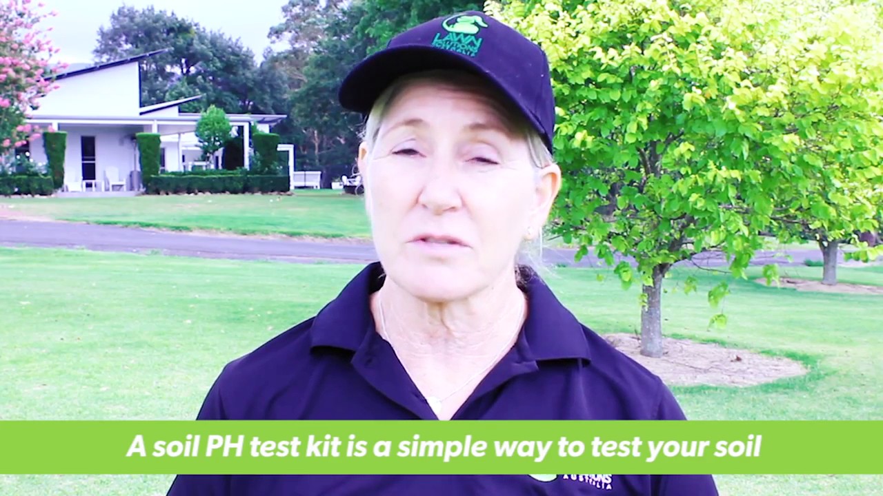 Soil pH Levels for a Healthy Lawn - YouTube
