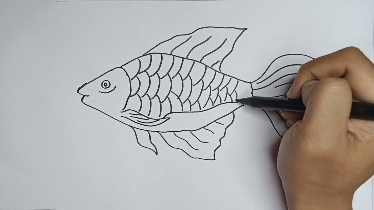 MENGGAMBAR IKAN HIAS / CARA MENGGAMBAR IKAN HIAS DENGAN MUDAH / HOW TO ...
