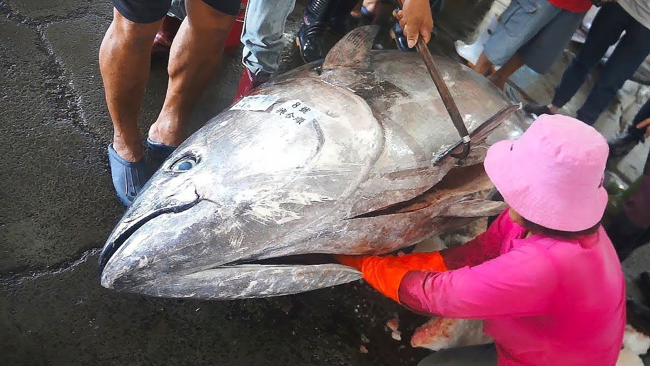 Monster Fish / Over 400KG Giant Bluefin Tuna Cutting Using Super Sharp ...