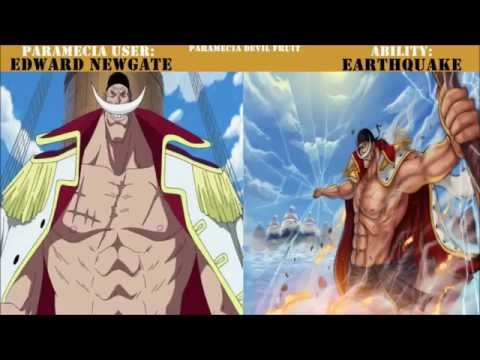 One Piece - Top 20 Paramecia Devil Fruit Users - YouTube