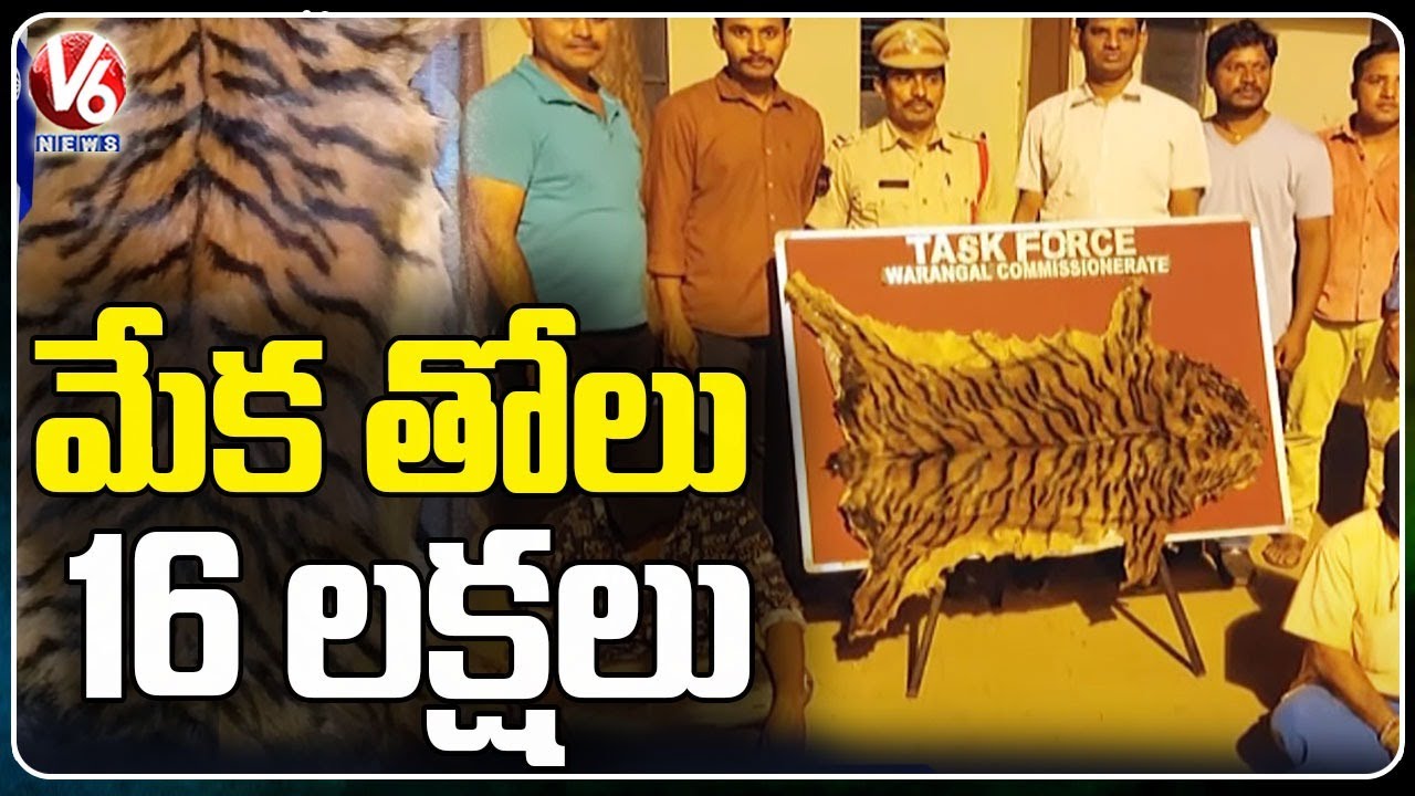 Task Force Police Arrested Fake Leopard Skin Gang In Warangal | V6 News ...