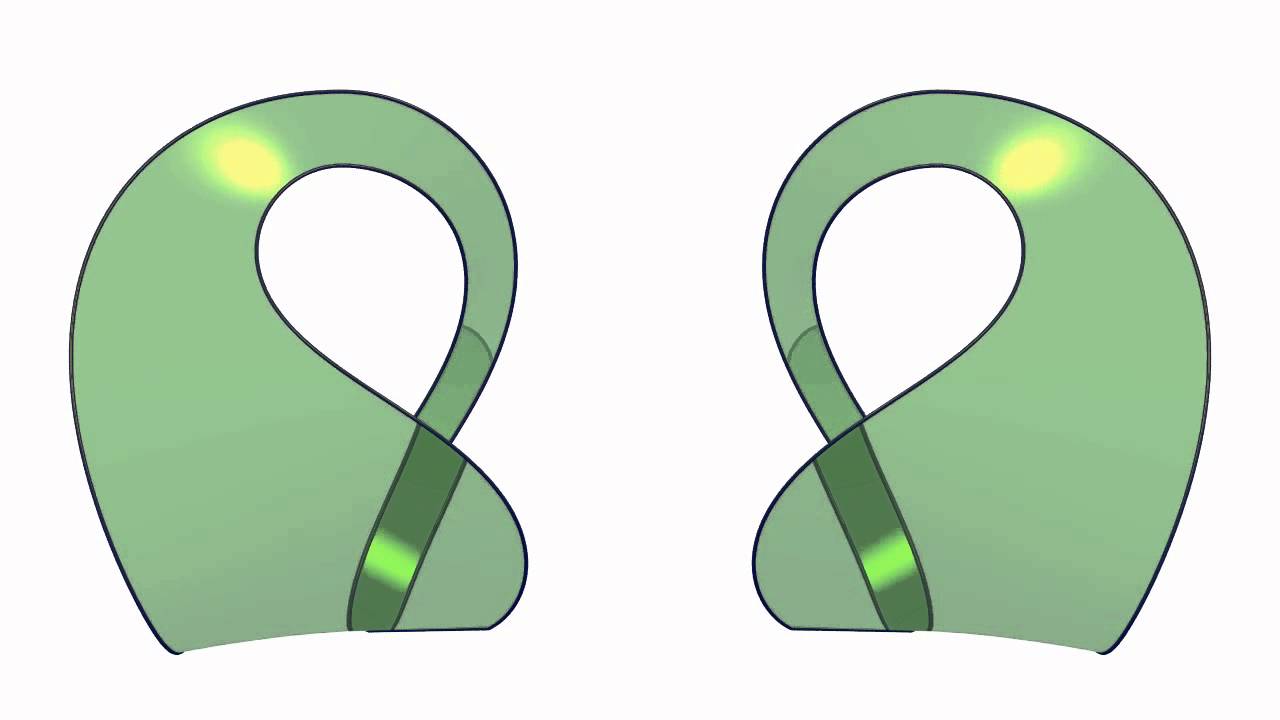 Two Moebius bands make a Klein bottle - YouTube