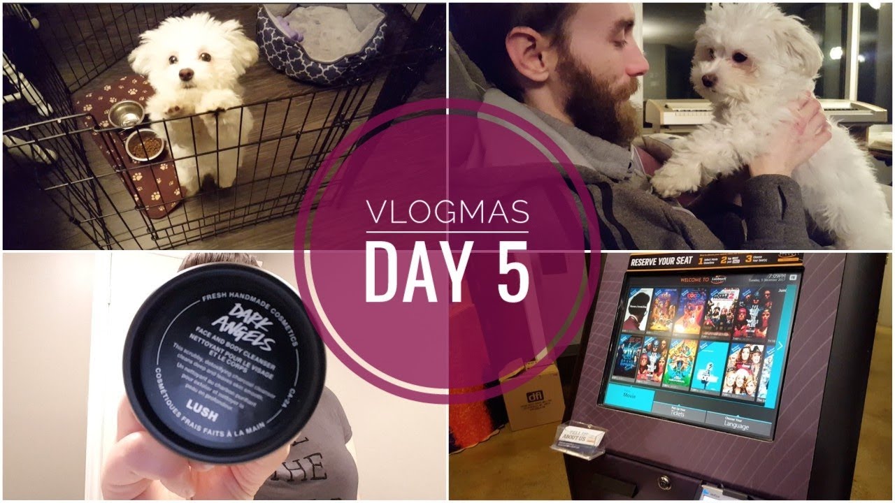 Dan Does The Intro | VLOGMAS Day 5 - YouTube