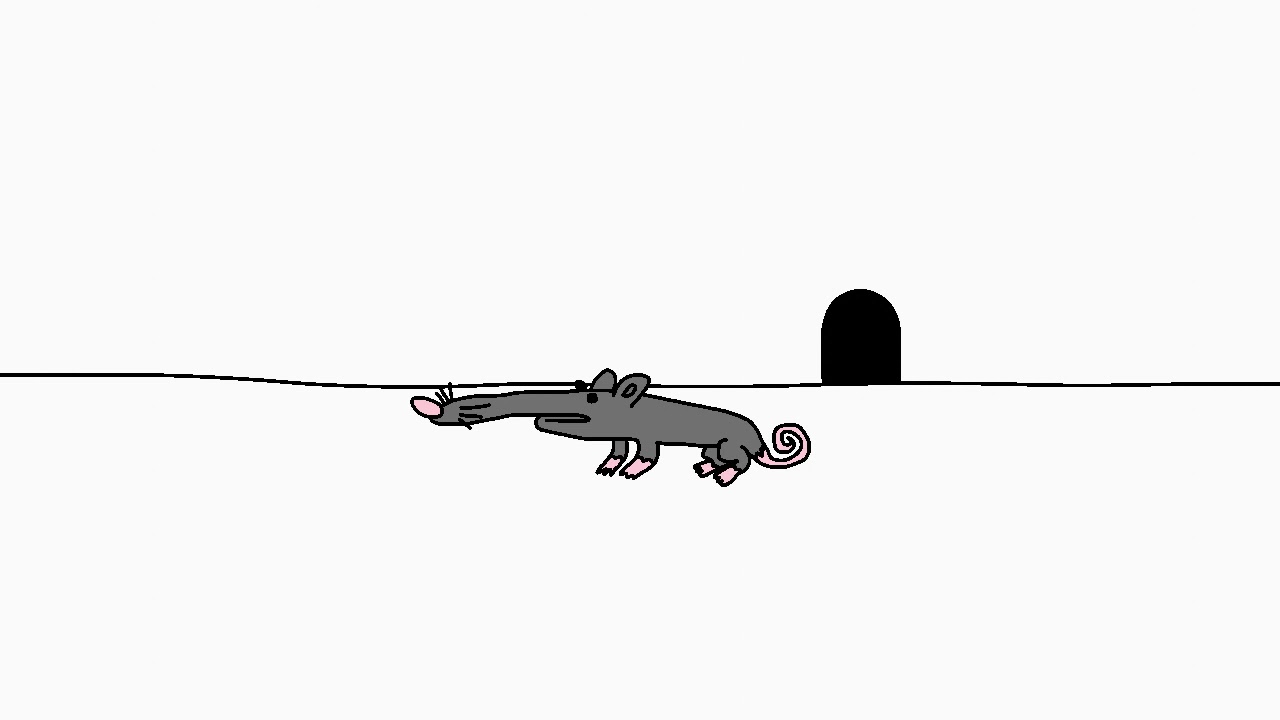 rat go splat - YouTube