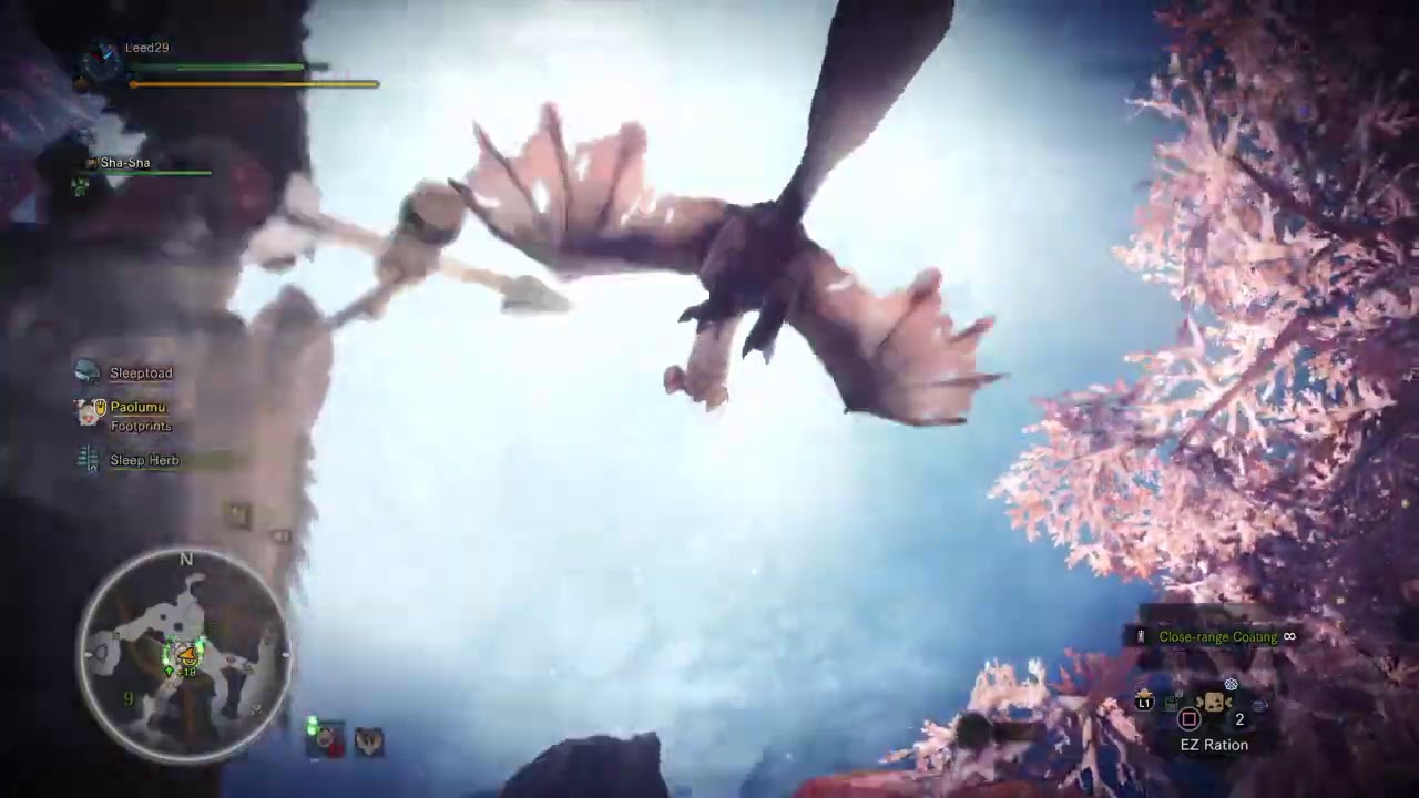Monster Hunter World: Bow weapon VS. Paolumu - YouTube