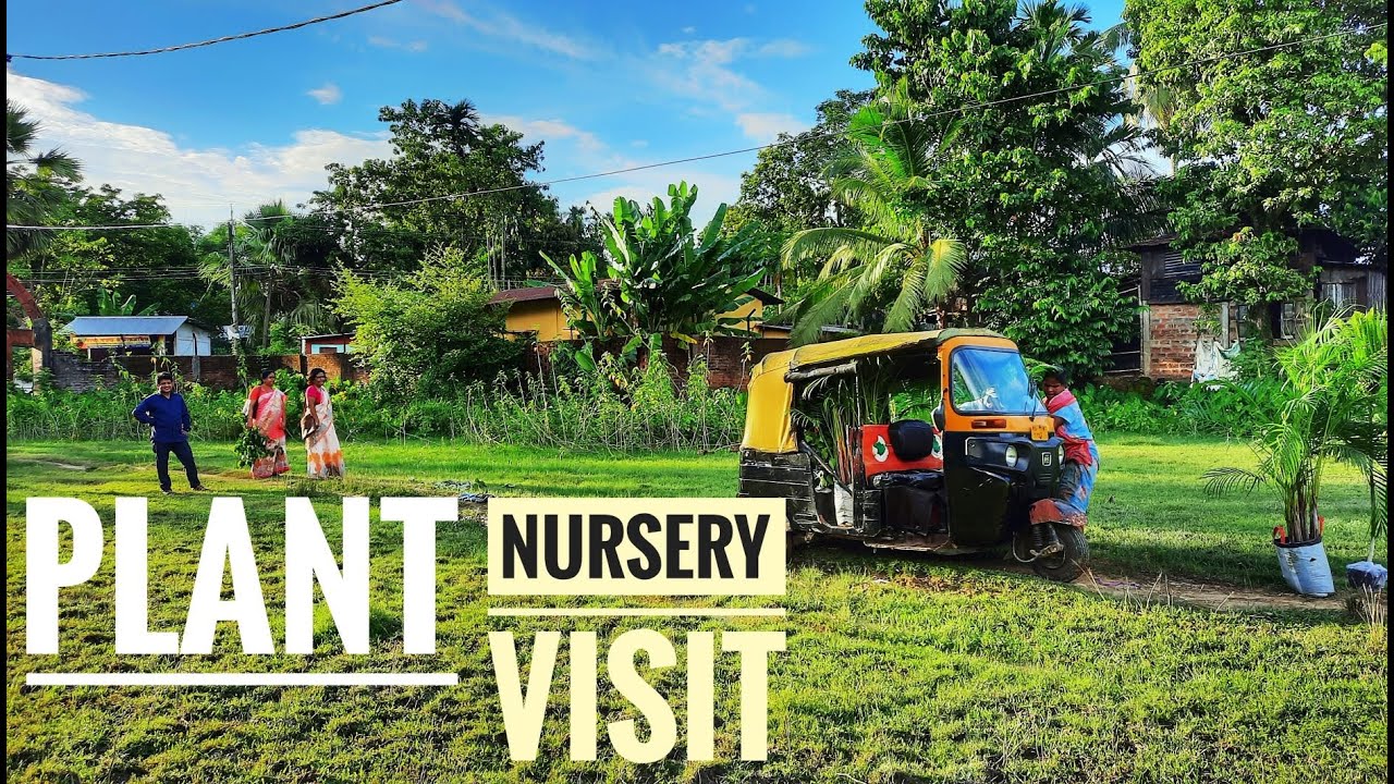 Plant Nursery Visit | Bharat Mata Nursery Silchar | Grow Trees - YouTube