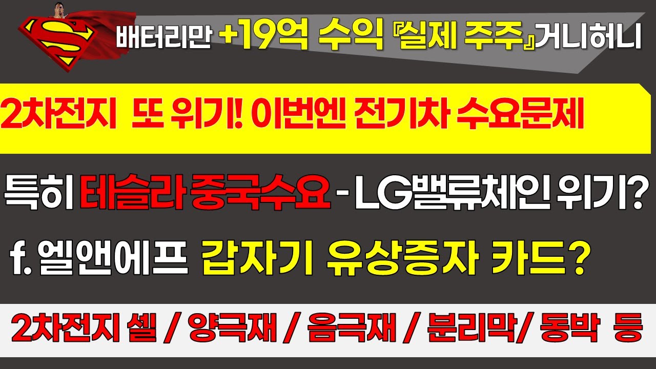 2차전지17억 2차전지 급락 테슬라발 전기차 수요문제 괜찮나 엘앤에프 갑자기 유상증자 엘앤에프 에코프로비엠