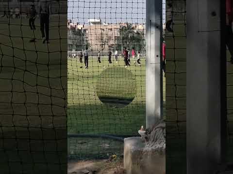 Chasing dreams and breaking records🏋️#baseball #journey #like #softball ...