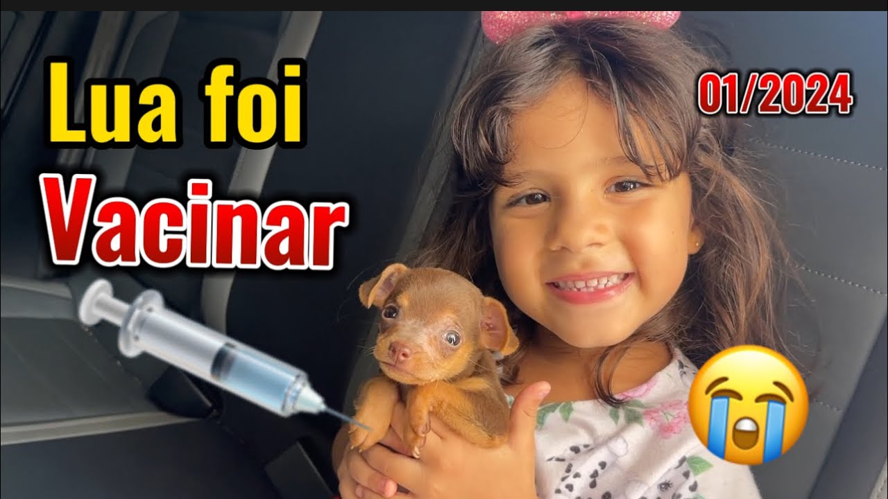 🐶Levando a Lua para vacinar. Será q ela chorou? #vacina #tomandoVacina #Lua #Lulu #Tutu #vacina ...