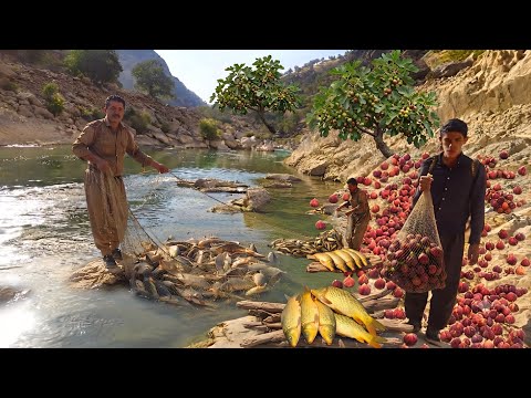 🏔️ Nomadic life | Traditional fishing with nomads and wild fig harvesting by the mountain river 🎣🫒