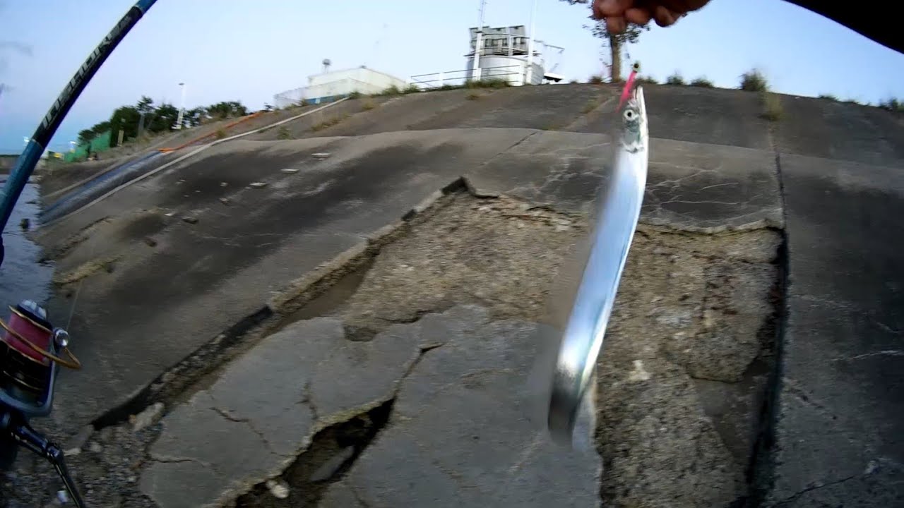 MANGHULI TAYO NG ISDANG ESPADA(cutlass fish) - YouTube