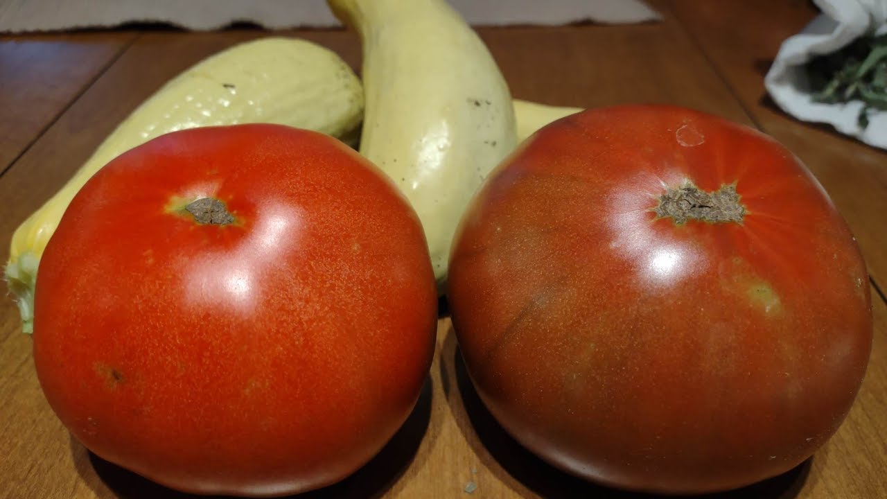Tomato Talk Tuesday - Find the Hornworm! - YouTube
