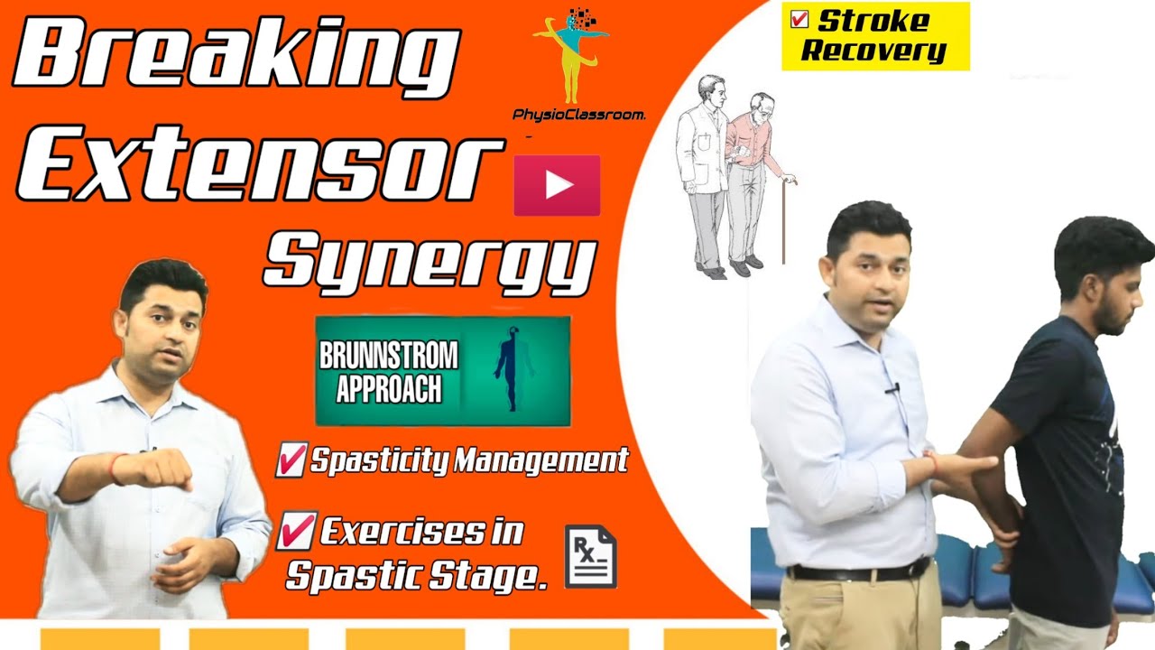 EXERCISE TECHNIQUES TO BREAK UPPER LIMB EXTENSOR SYNERGY IN STROKE ...